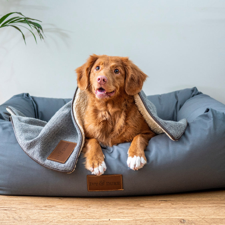 News – VetPro Complete